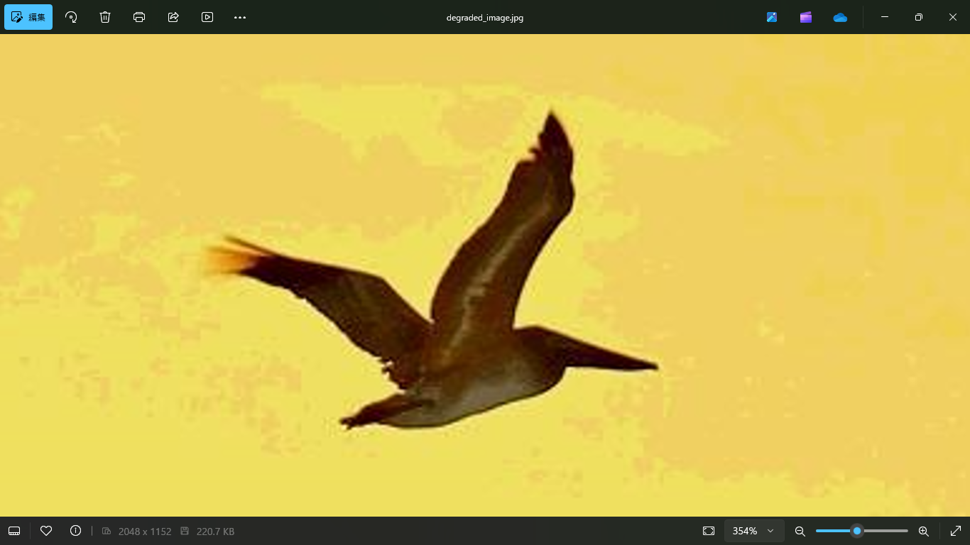 iPhoneでのraw撮影からjpeg変換までを解説！簡単設定方法と編集のコツ | カメラスタディラボ